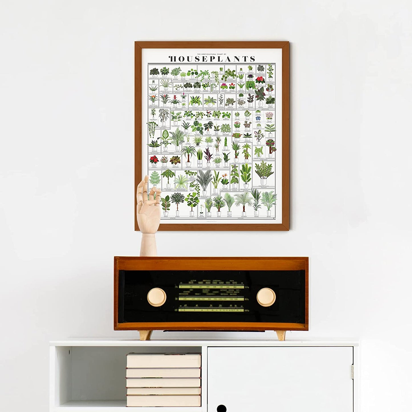 The Horticultural Chart Of Houseplants In 2020 Common UK: Average